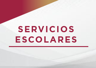 Inicio | Universidad Tecnológica Fidel Velázquez